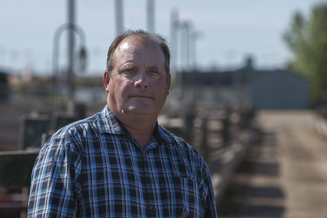 USask research indicates pulses sensitive to seedrow fertilizer ...